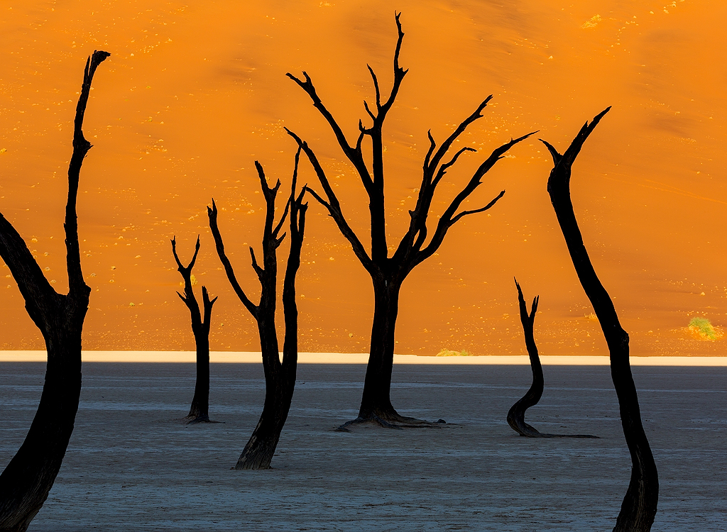 Dawn Shadows | Shutterbug